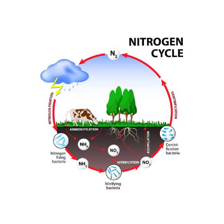 Liên quan đến Nitrat - Nitrite - Công ty Cổ Phần Kỹ Thuật Môi Trường ...